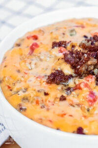 Rotel Dip (3 Ingredient Recipe) - Granny's in the Kitchen